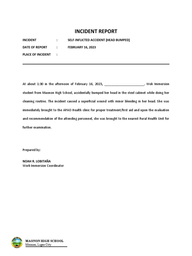 Incident Report | PDF