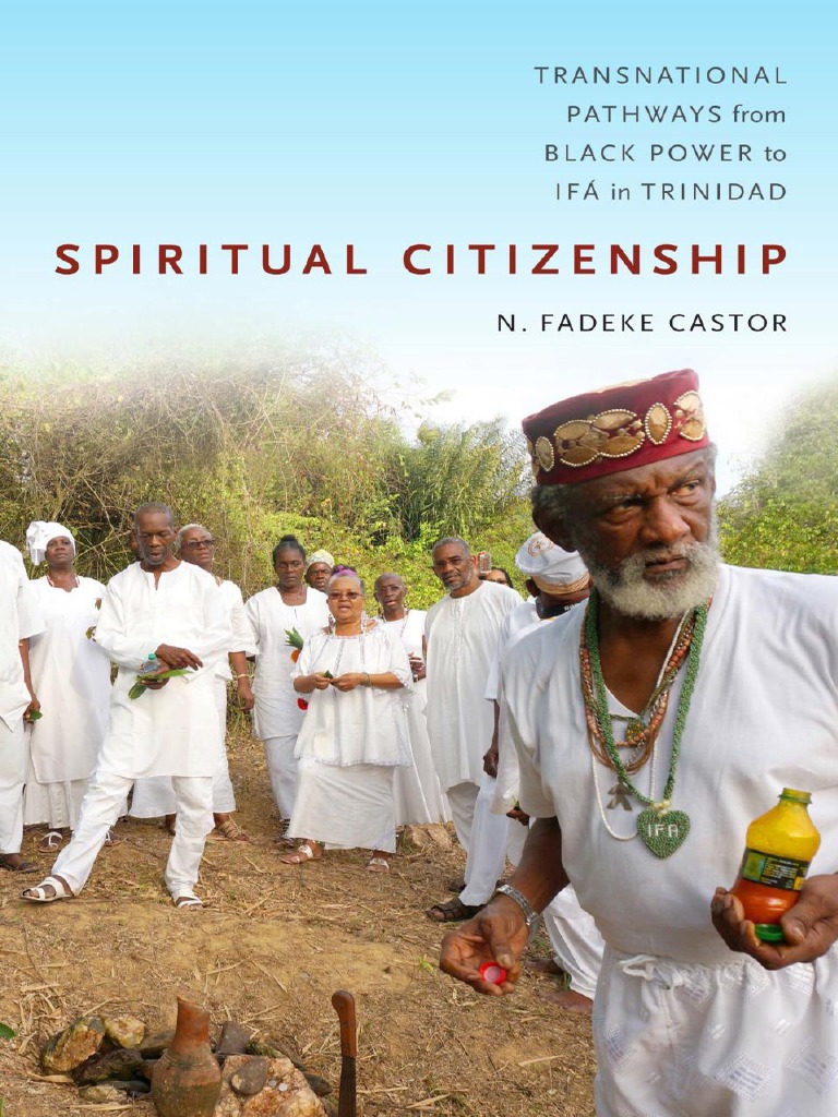 N. Fadeke Castor - Spiritual Citizenship - Transnational Pathways From ...