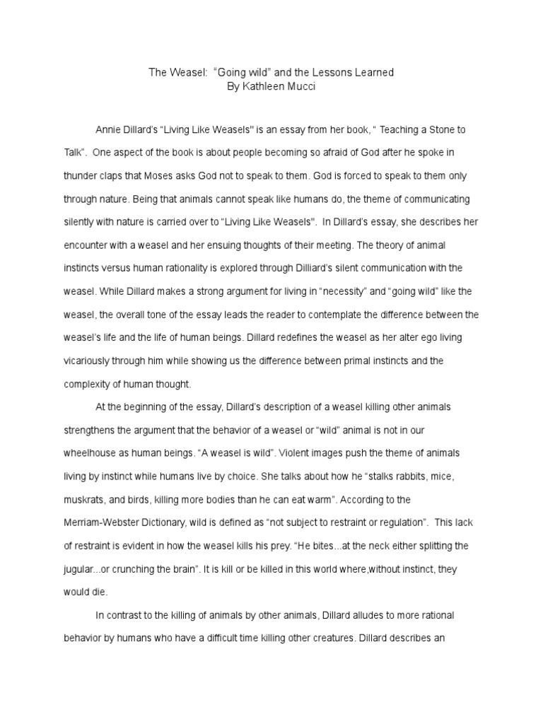 the weasel following your dreams while using your head | PDF | Predation | Thought