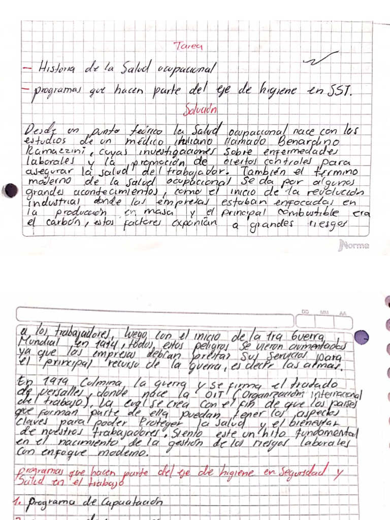 Maria José Preciado | PDF