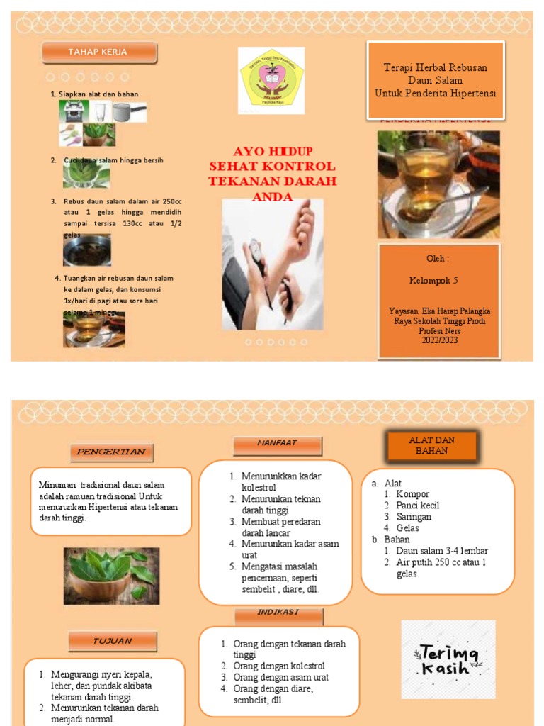 Leaflet Daun Salam Kel 5 | PDF