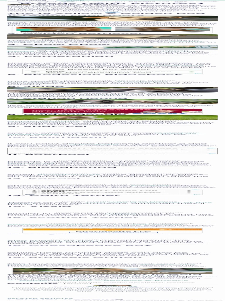 19 Yellow & Golden Dog Breeds (With Pictures) Hepper | PDF | Dogs ...