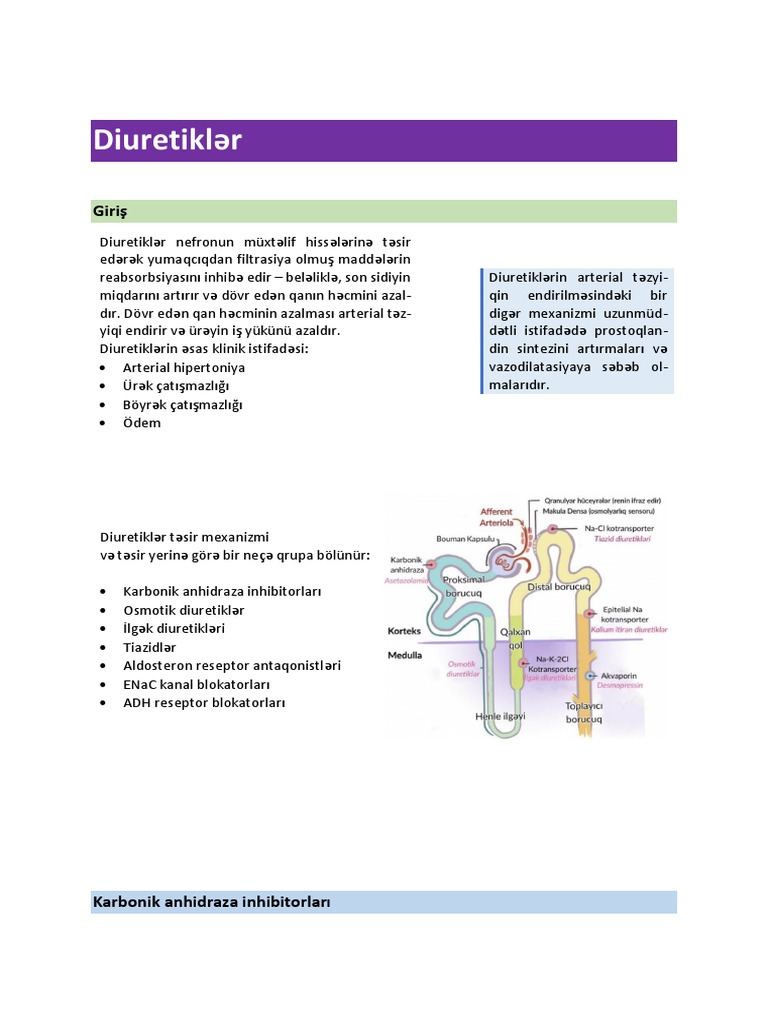 Diuretik | PDF