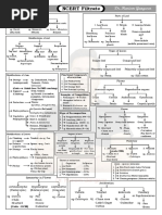 Cell Cycle & Division Mind Map for NEET | PDF | Botany | Plants