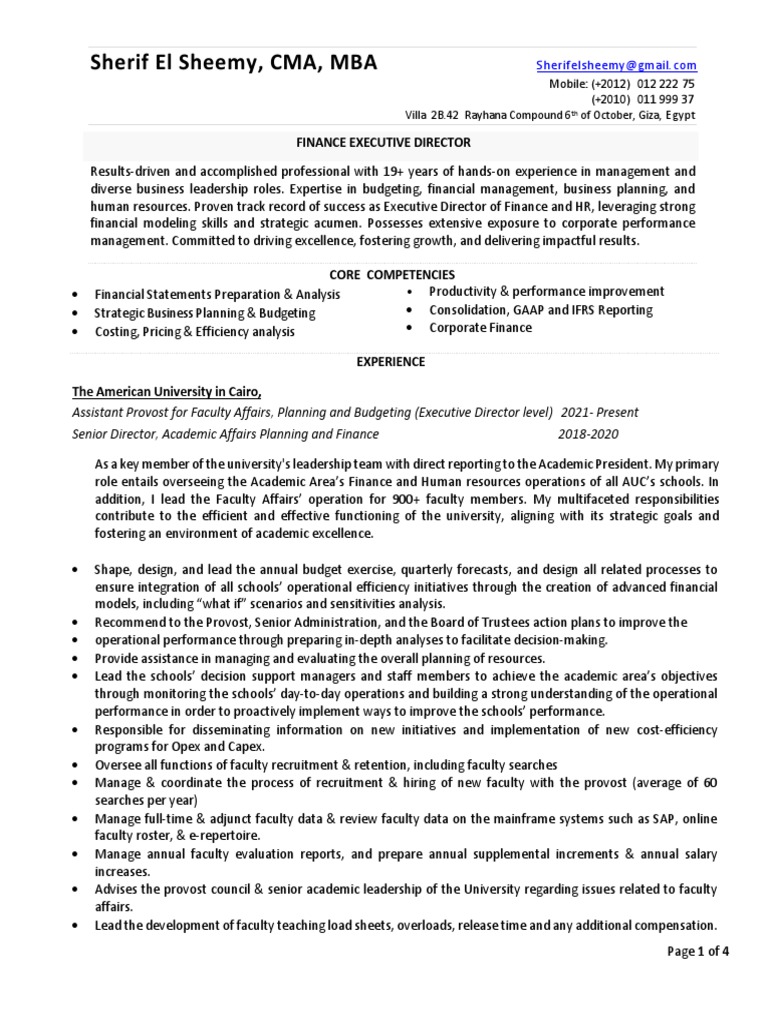 Sherif El Sheemy Resume - July 2023 | PDF | Internal Control | Business