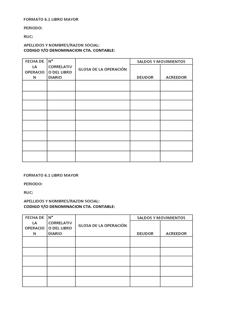 FORMATO Libro Mayor | PDF
