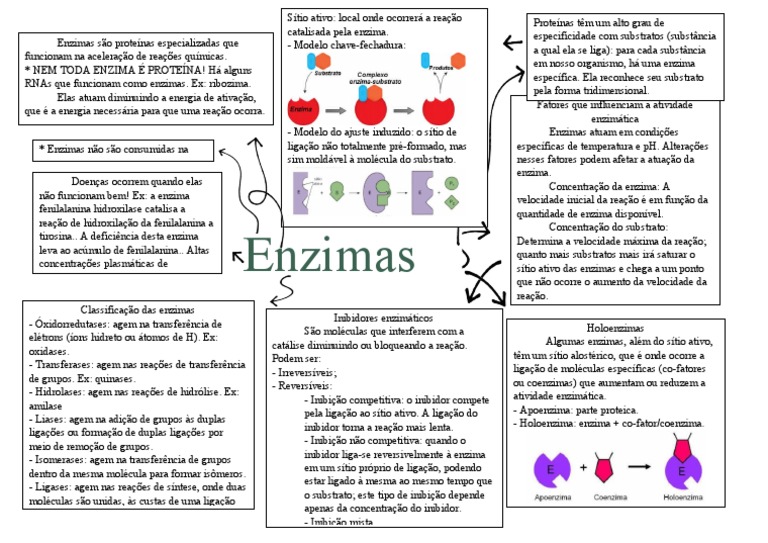 Mapa Mental - Enzimas | PDF | Enzima | Inibidor de enzimas