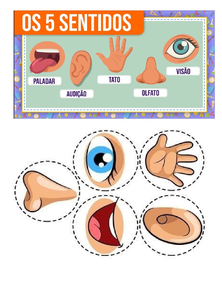 5 Sentidos Imagens | PDF