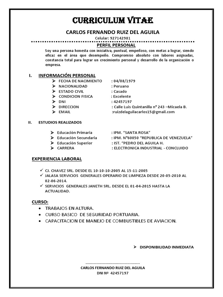 CV Carlos Ruiz Del Aguila | PDF