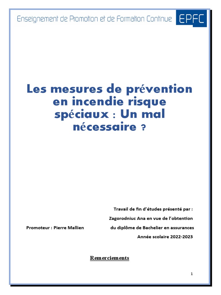 TFE Memoire | PDF | Assurance | Risque