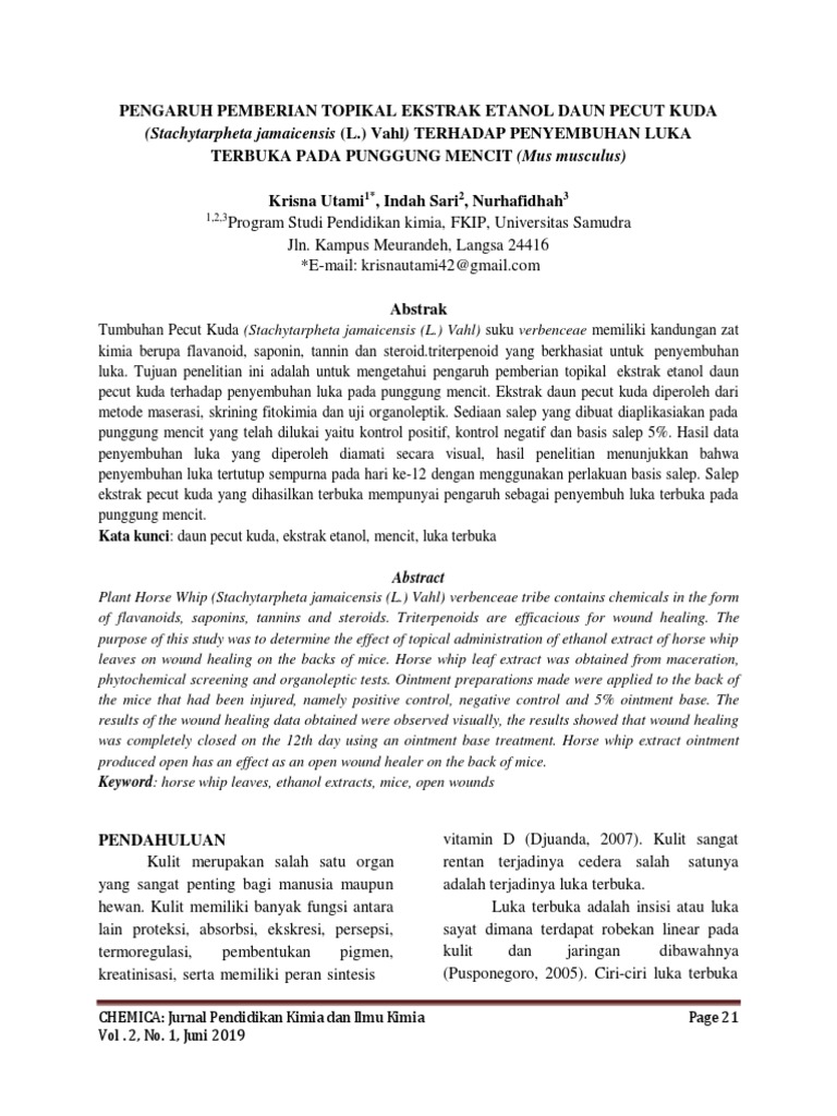 Jurnal Krisna Utami | PDF