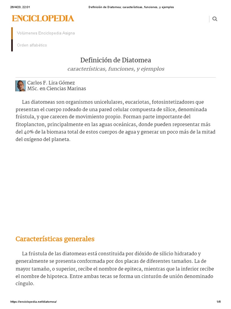 Definición de Diatomea Características, Funciones, y Ejemplos | PDF ...
