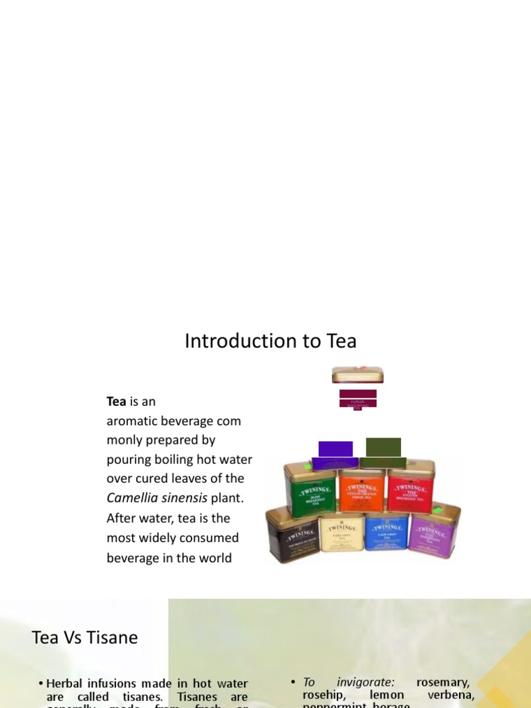 Introduction To Tea | PDF | Tea | Drink