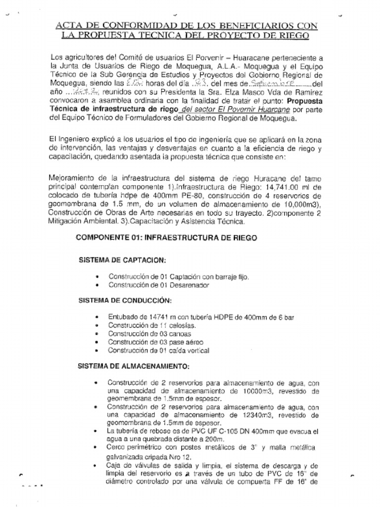 Ejemplo de Actas | PDF