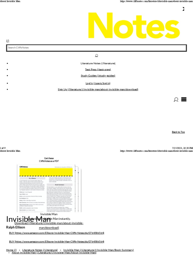 About Invisible Man | PDF