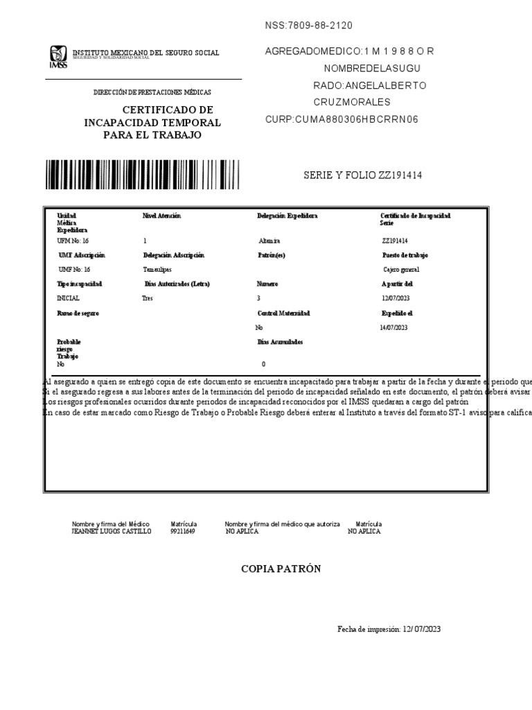 Formato Incapacidad Imss Editable Word | PDF