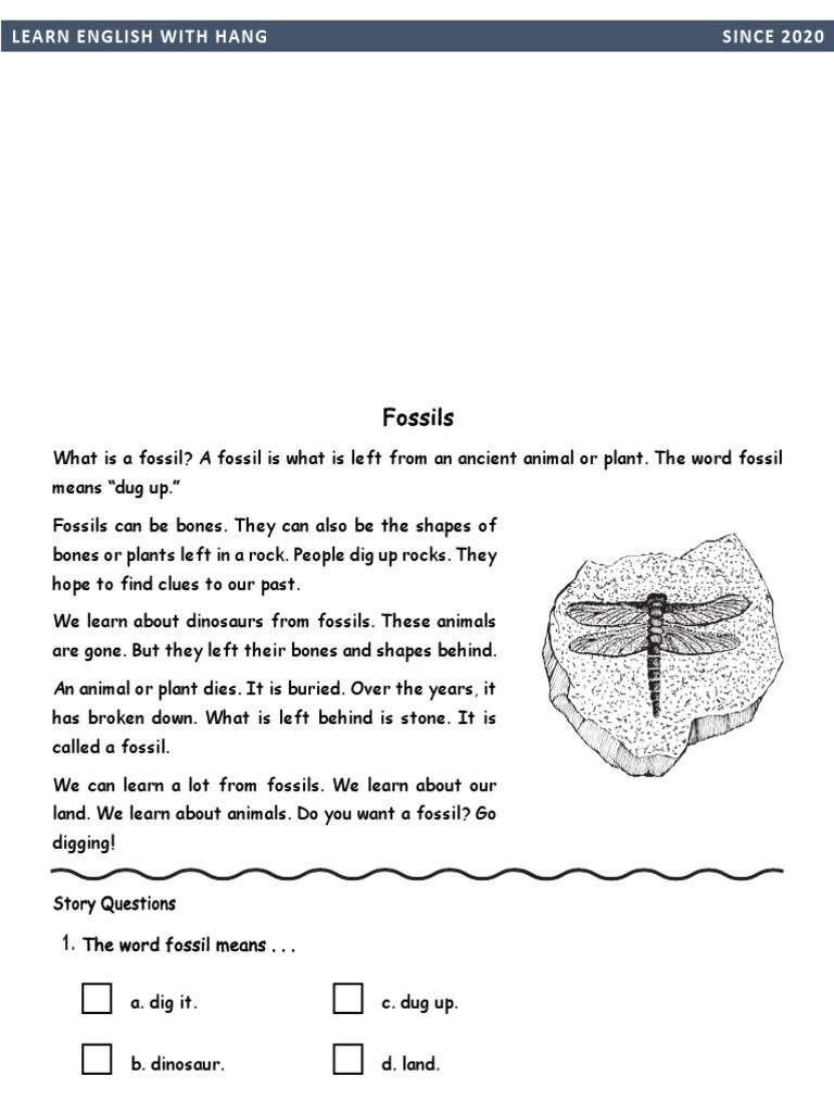 1.32. Reading Stories - Fossil | PDF