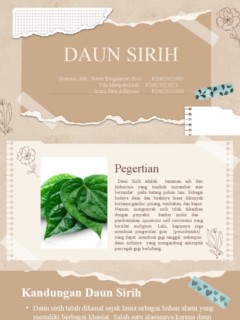 Kelompok 1 (Daun Sirih) | PDF