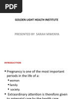 PMSMA Monthly Reporting Format | PDF | Pregnancy | Women's Health