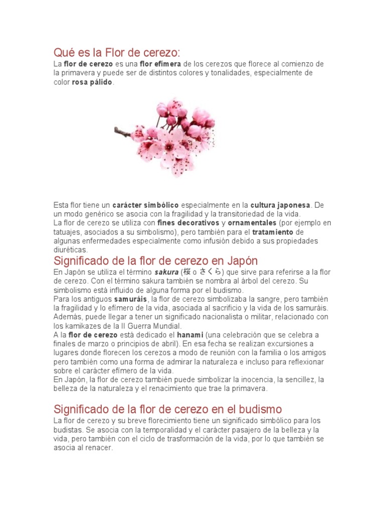 Significado de la Flor de Cerezo | PDF