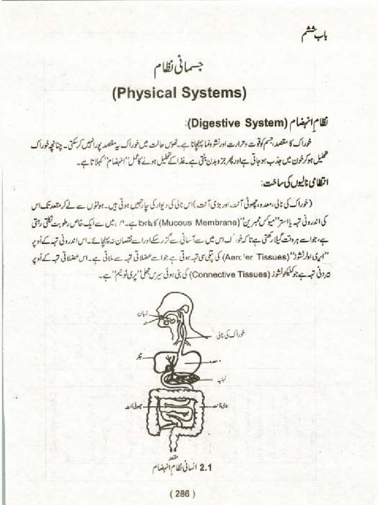 12th-Class-Physical Education - Chapter-1 Part 2 | PDF