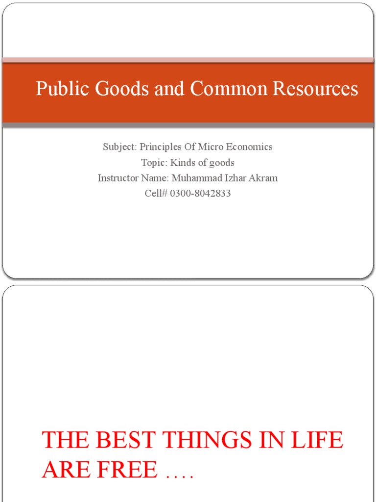 Public Goods and Common Resources | PDF | Goods | Prices