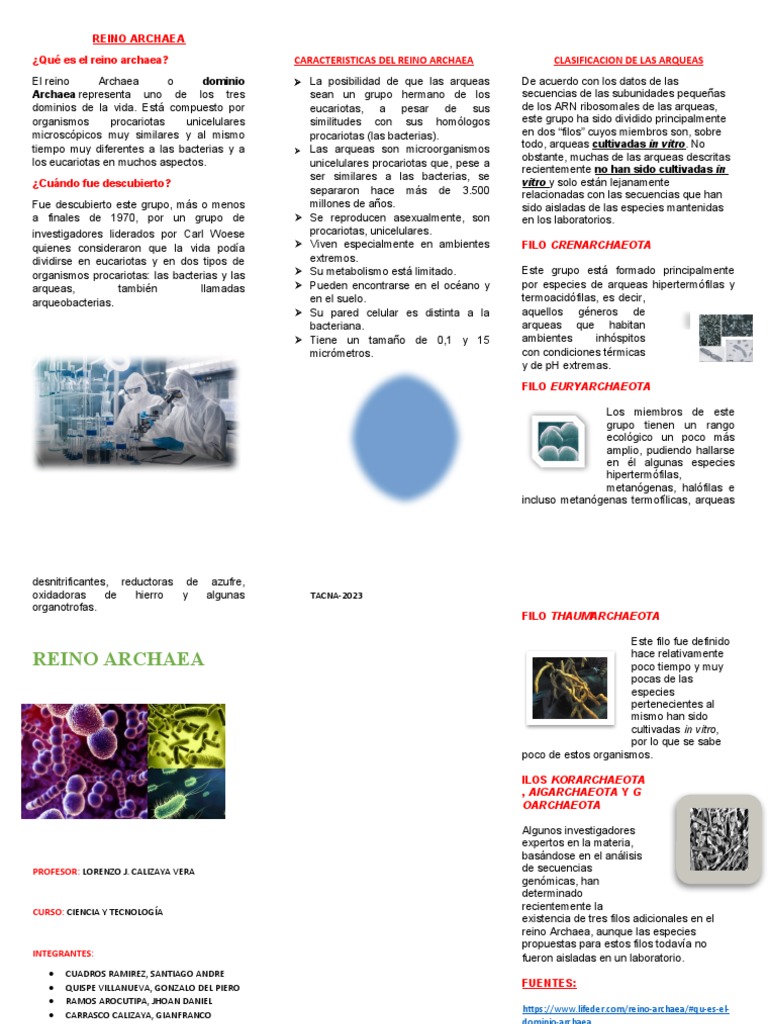 Características del Reino Archaea | PDF | Archaea | Procariota