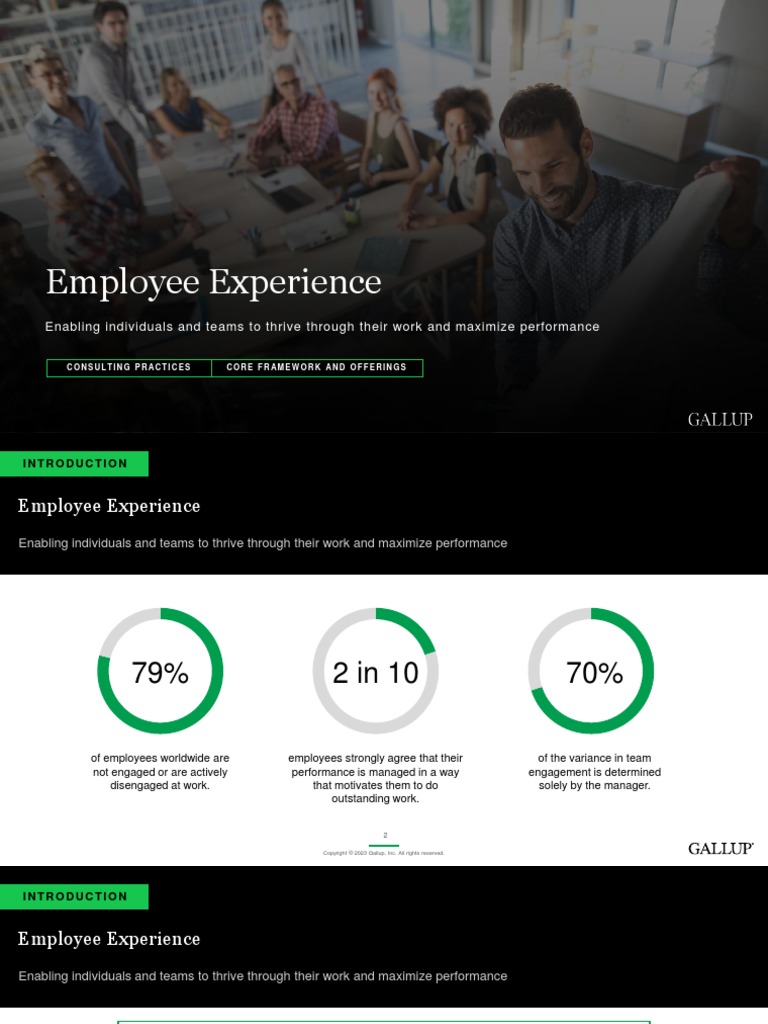 Employee Experience Core Framework and Offerings | Download Free PDF ...