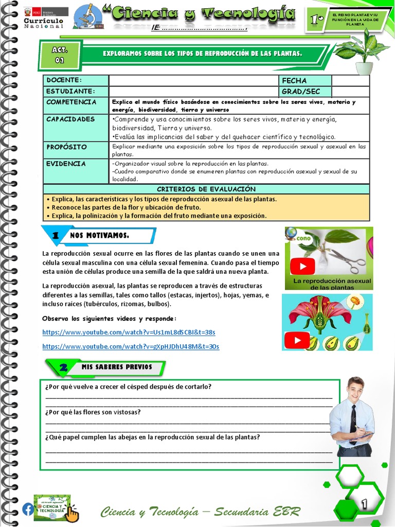 D-1º Act 5 Cyt Unid 2 - Sem 4 | PDF | Salud y bienestar | Ciencia y matemáticas