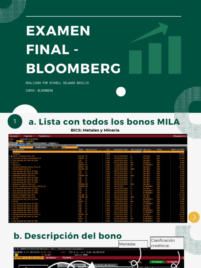 EXAMEN FINAL - Bloomberg | PDF