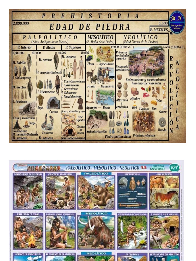 Edad de Piedra | PDF