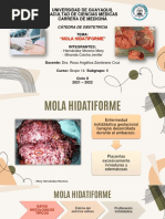 FIGO-MifeMiso-Chart-11-2023-SLW FINAL - ES LA | PDF | Aborto | La salud ...