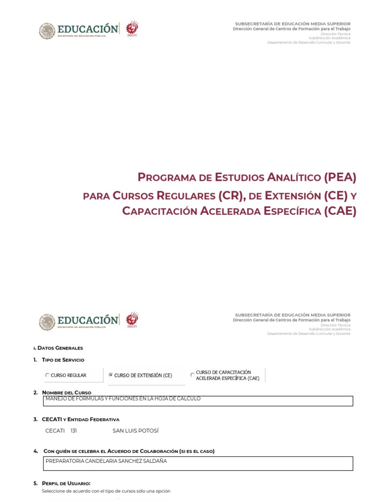 Pea 43-Manejo de Formulas y Funciones en La Hoja de Calculo | PDF | Evaluación | Plan de estudios