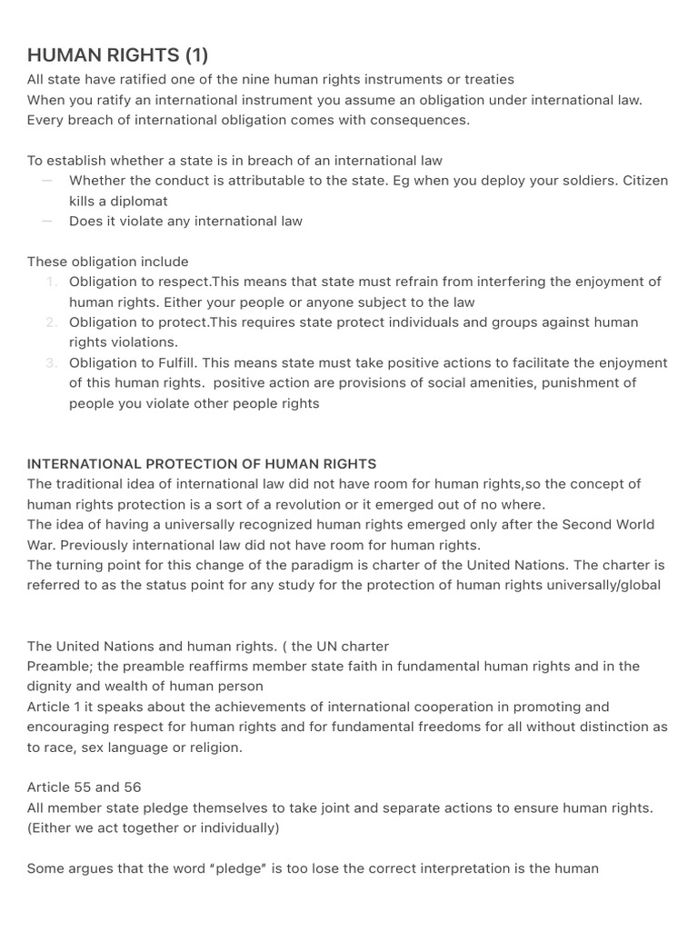 Human Rights | PDF | Human Rights | United Nations