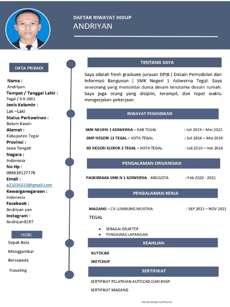 CV & Portofolio | PDF