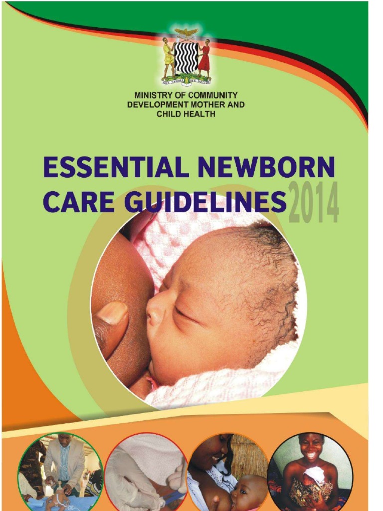 Essential Newborn Care Guidelines | PDF | Preterm Birth | Infant Mortality
