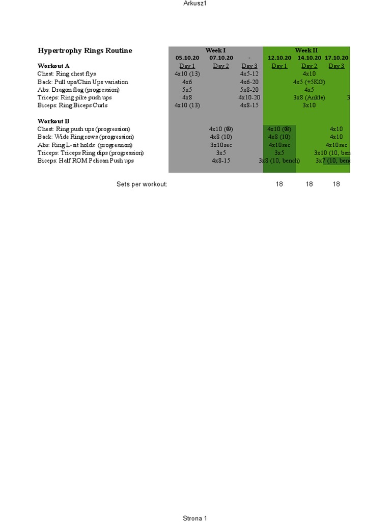 Spreadsheet Hypertrophy Ring Routine | PDF | Sports Science | Human Anatomy