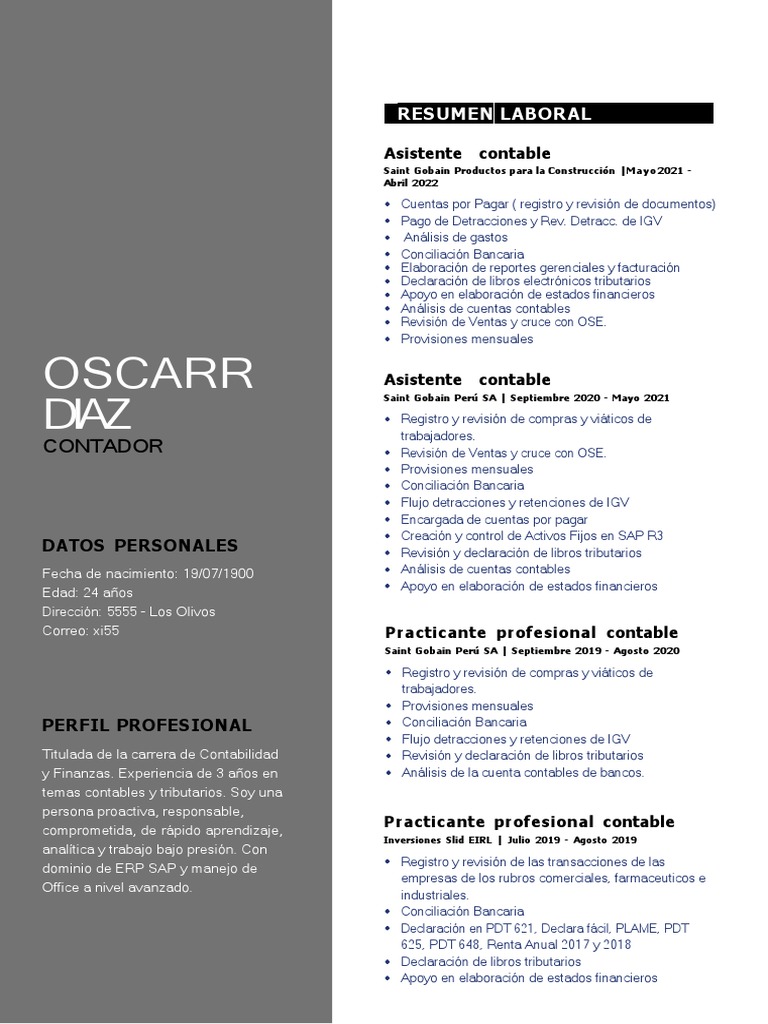 Modelo CV | Descargar gratis PDF | Contabilidad | Contador