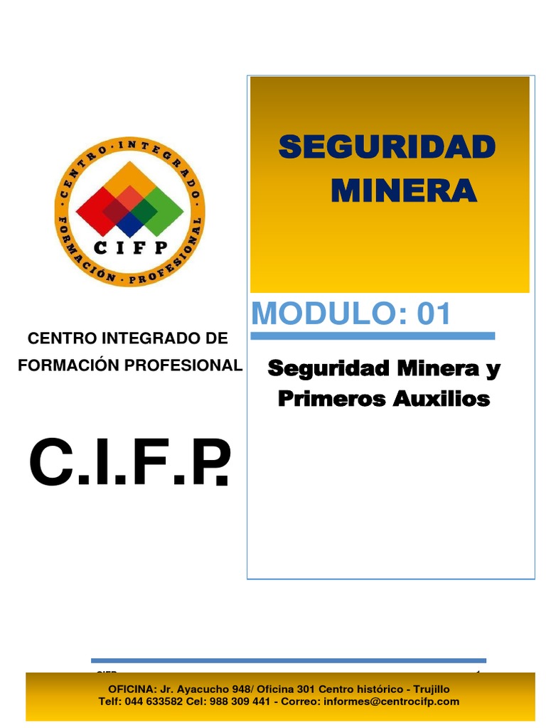 Módulo 01 - Seguridad Minera y Primeros Auxilios Lili | PDF | Mercurio (Elemento) | Minería