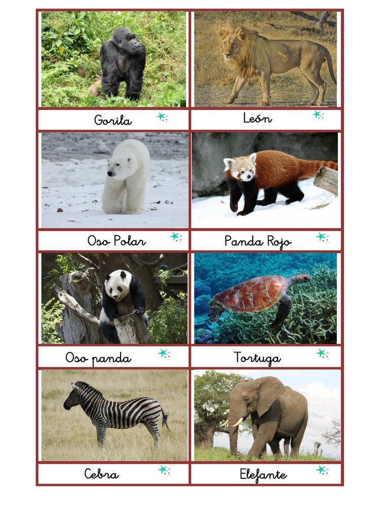 Tarjetas de Tres Partes Animales - Montessori | PDF
