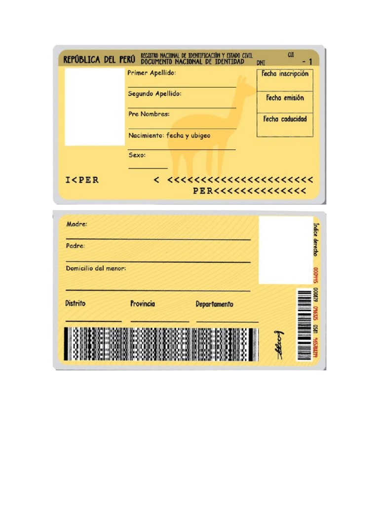 Dni Bebé Huevito | PDF