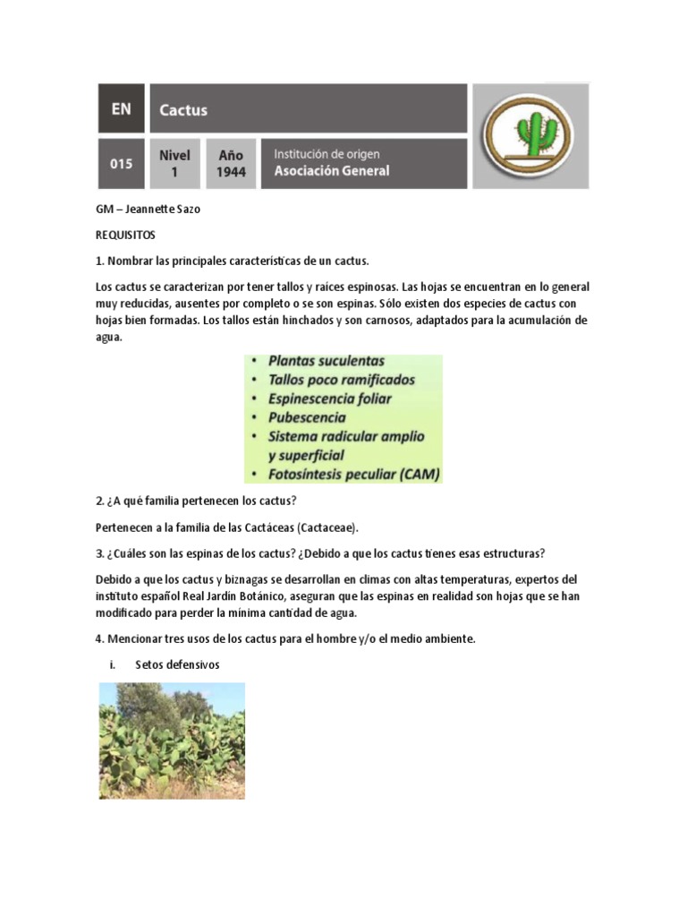 Guía Completa sobre Cactus | PDF | Hogar, jardinería y bricolaje ...