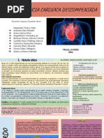 Signo de Homans | PDF | Anatomía del miembro inferior | Extremidades ...