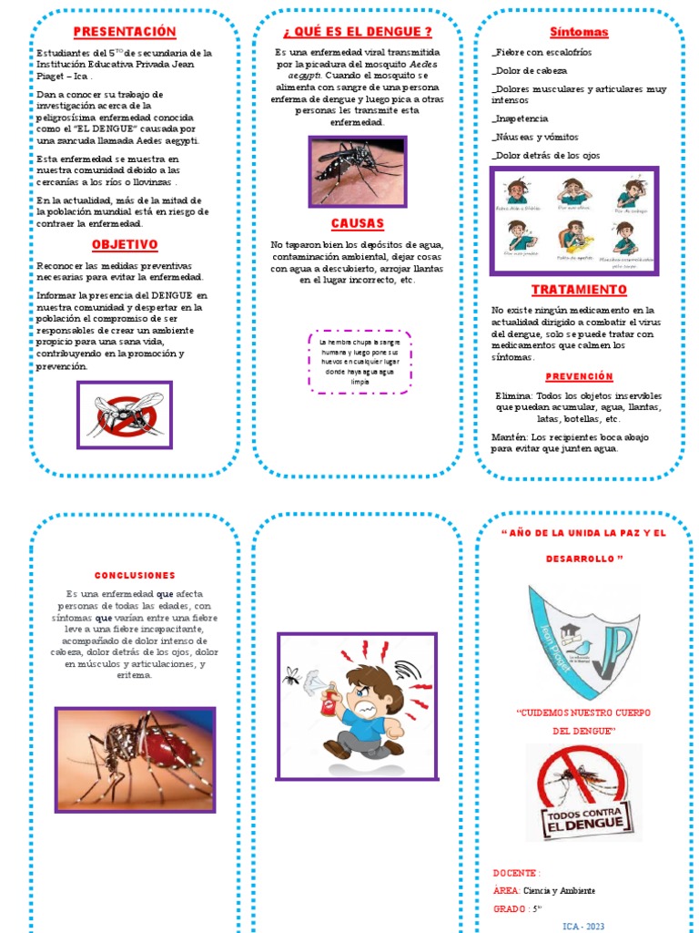 Triptico Dengue | PDF | Especialidades Medicas | Medicina CLINICA