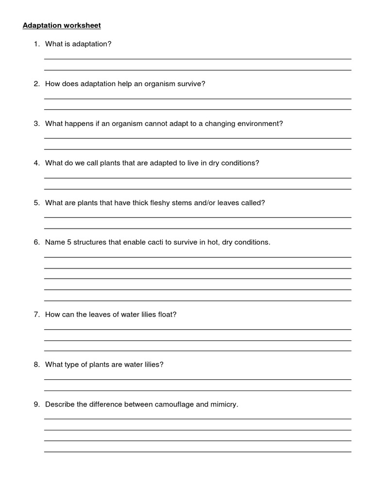 Adaptation Worksheet | PDF | Home & Garden | Science & Mathematics