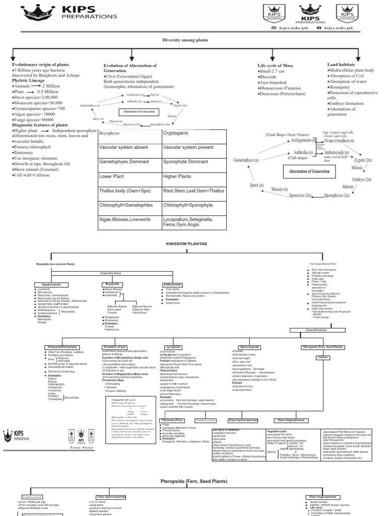 Chapter 8 Final-2 | Download Free PDF | Moss | Leaf