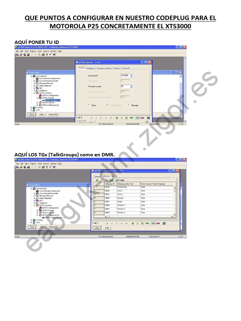 Que Puntos A Configurar en Nuestro Codeplug para El Motorola P25 ...