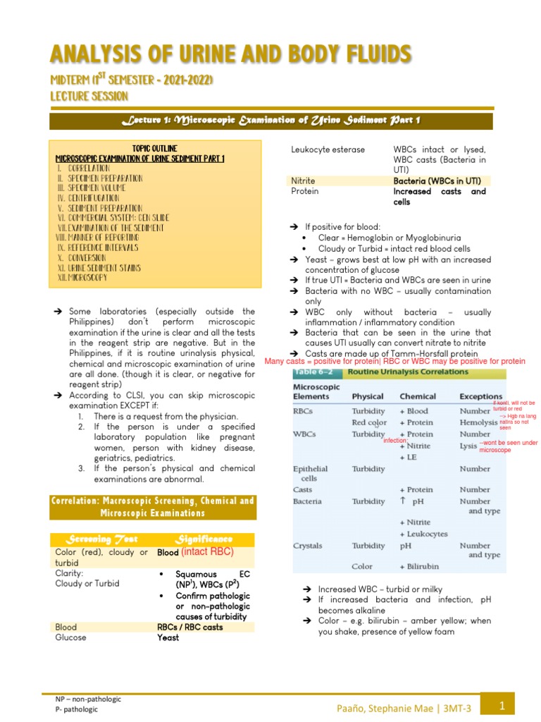AUBF Lec M Microscopic Examination of Urine Sediment Part 1 | PDF ...
