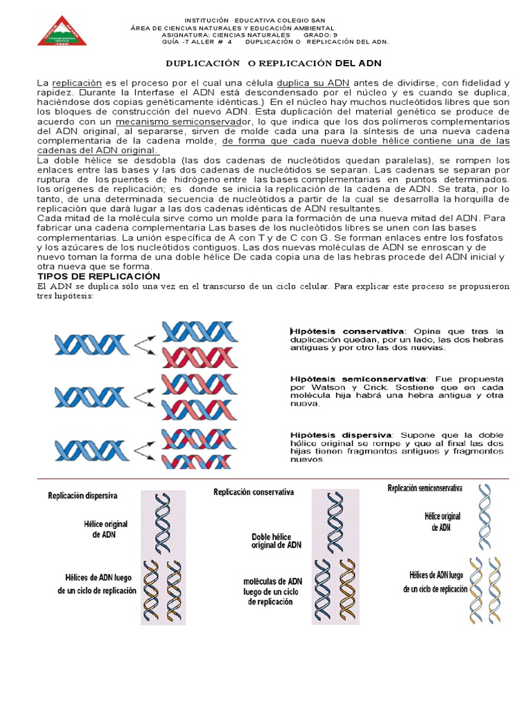 Guia - Taller #4 Duplicación Del Adn . | PDF | Adn | Replicación De Adn