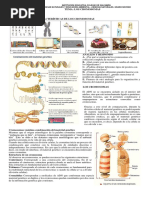Tabla Períodica Gil Chaverri Química 10 | PDF | Rieles | Elementos químicos